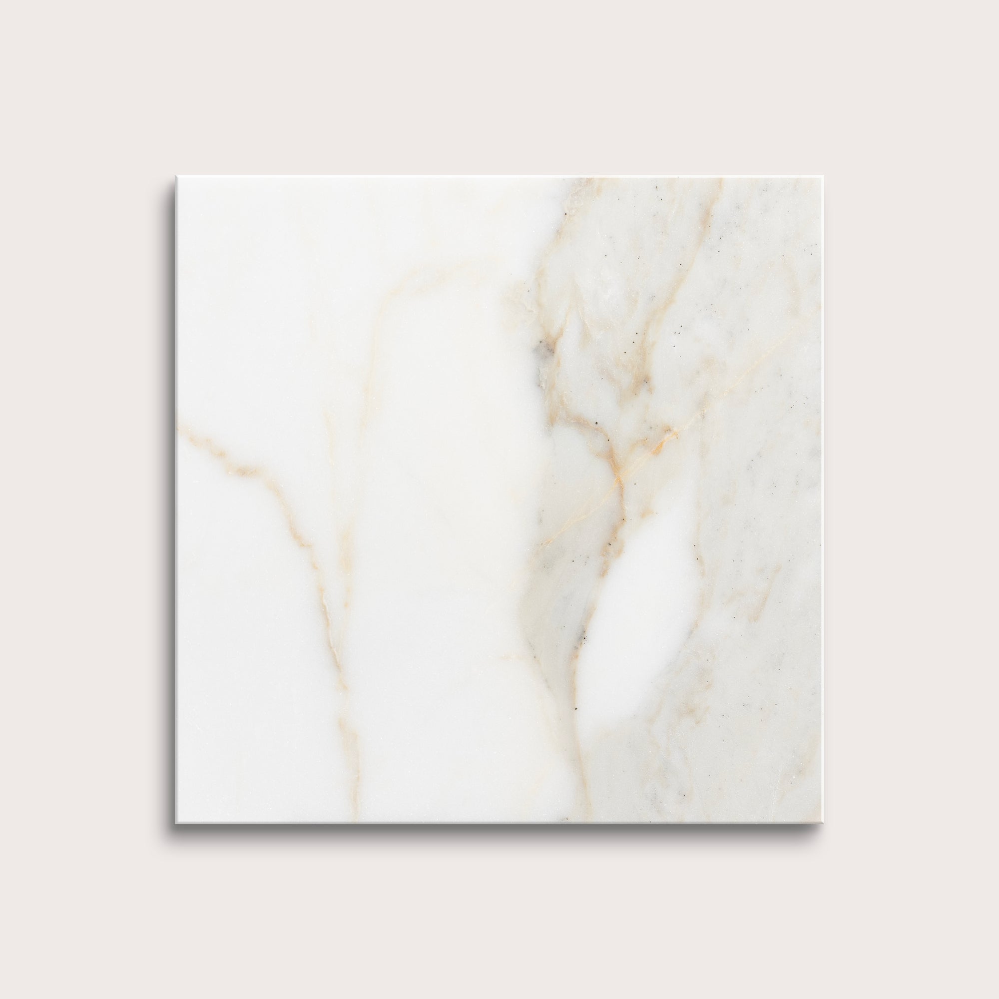 Calacatta Gold 12x12 Marble Tile | Honed