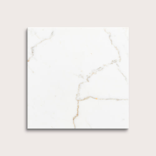Calacatta Gold 12x12 Marble Tile | Honed